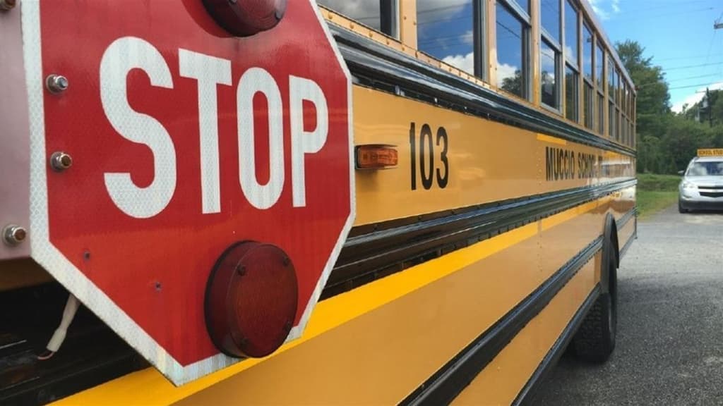 How to Get a CDL License (& Actually Use It): Our Guide... | BusesForSale